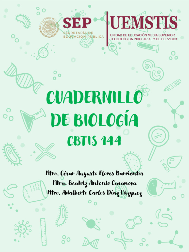 Cuadernillo Biología Pdf Eucariotas Organismos