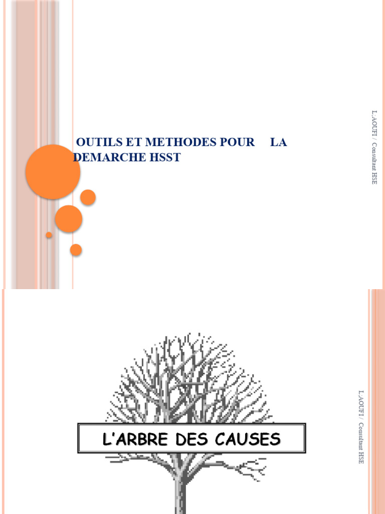 Arbre Des Causes | PDF