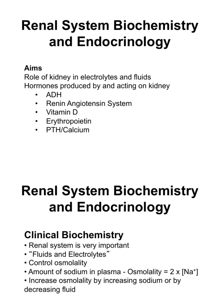 Renal Lecture 1a | PDF | Angiotensin | Kidney