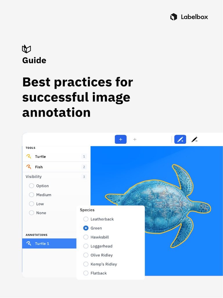 Image Annotation Guide | PDF | Annotation | Machine Learning