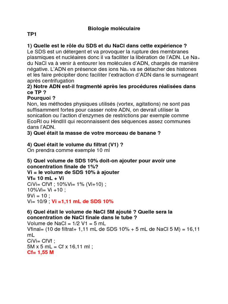 Extraction et Analyse de l'ADN | PDF | ADN | Biologie moléculaire