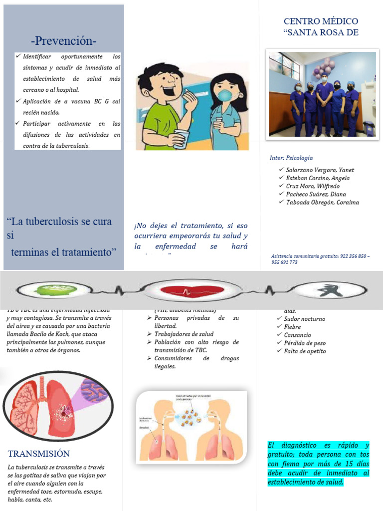 triptico tuberculosis | PDF | Tuberculosis | Enfermedades animales