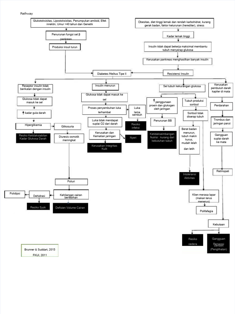 pdf-pathway-dm-tipe-ii_compress | PDF