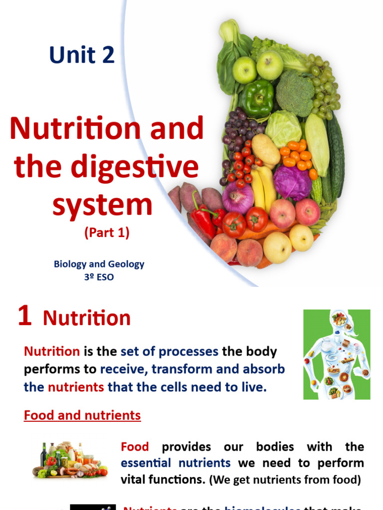 Unit 2 Nutrition and Digestive System | PDF | Nutrients | Nutrition