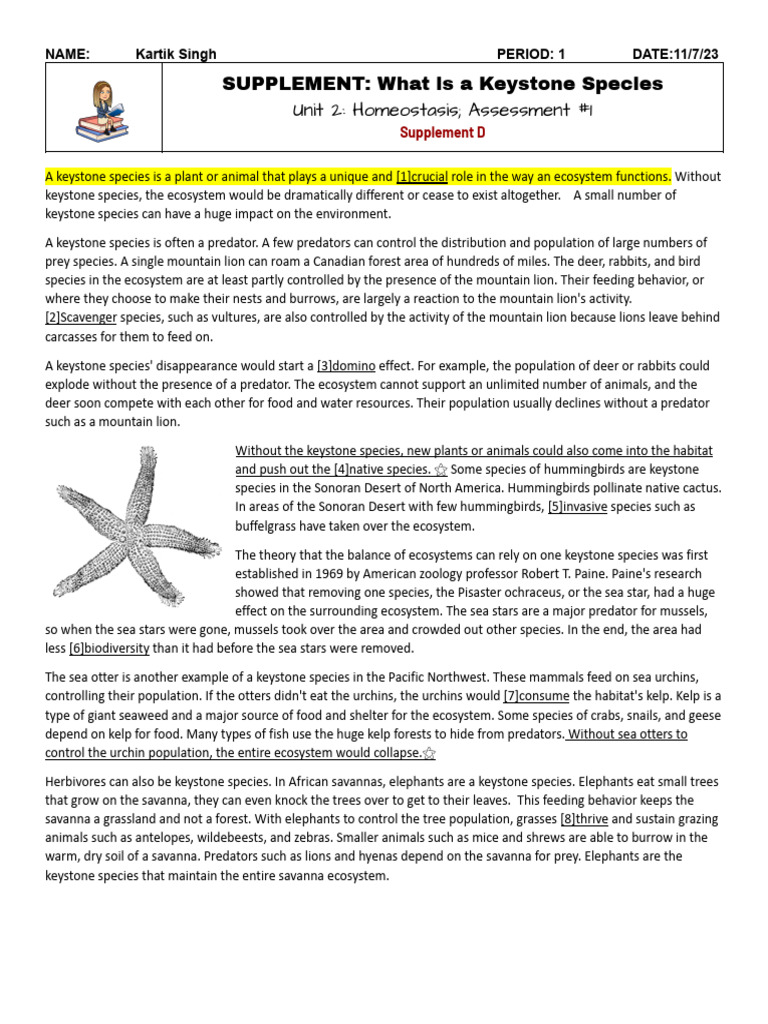 Understanding Keystone Species Impact | PDF | Nature | Conservation Biology