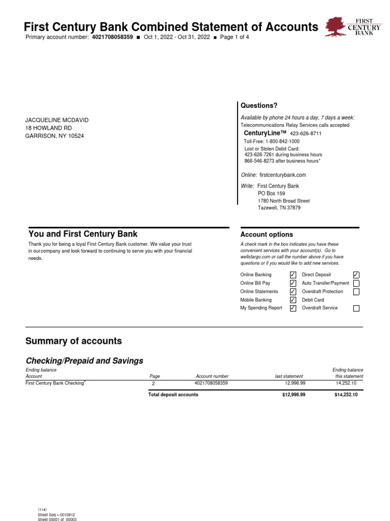 Bank Statement | Download Free PDF | Banks | Overdraft