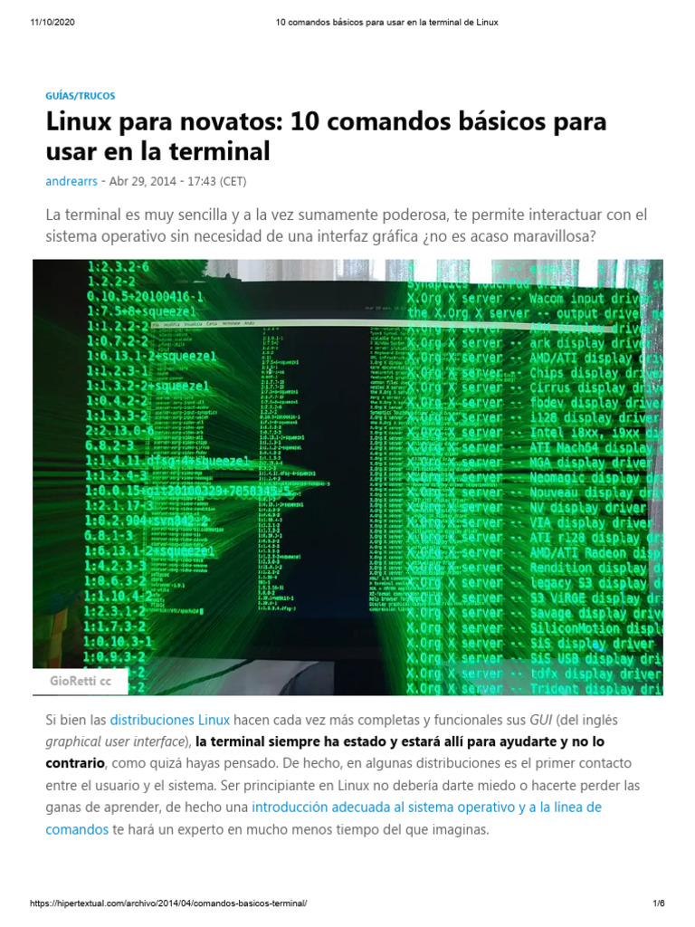 10 comandos básicos para usar en la terminal de Linux | PDF | Archivo ...