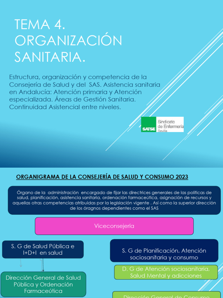 TEMA 4 Organizaciขn Sanitaria | PDF | Hospital | Enfermería