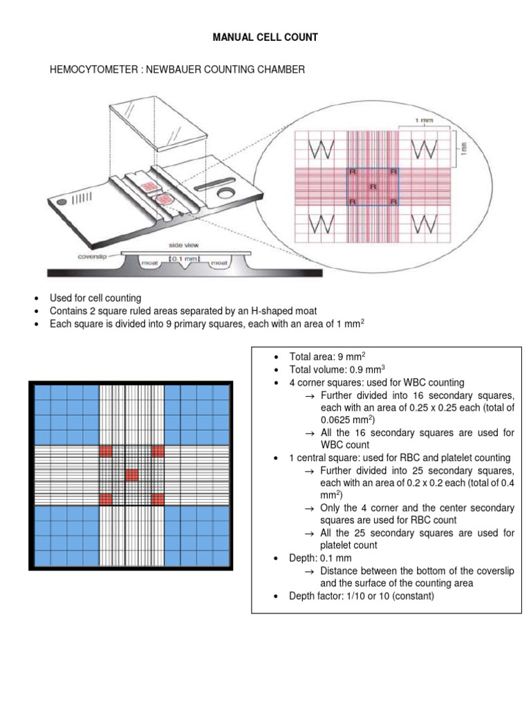 Manual Cell Count | PDF | Red Blood Cell | White Blood Cell