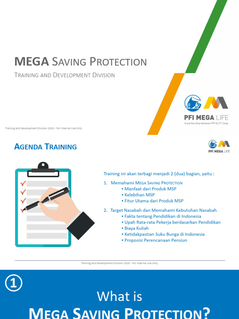 Mega Saving Protection | PDF
