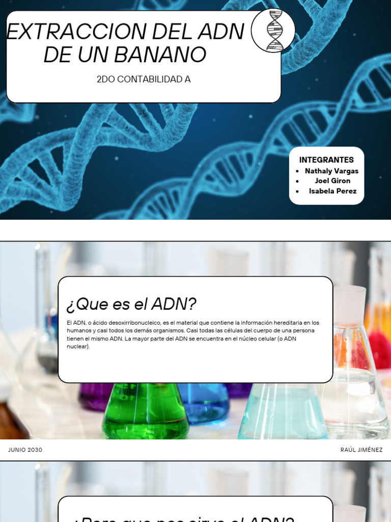 Extraccion Del Adn de Un Banano | Descargar gratis PDF | Adn | Biología ...