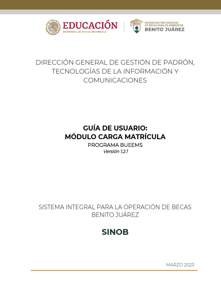 Guía de Usuario Sinob | PDF | Archivo de computadora | Usuario ...