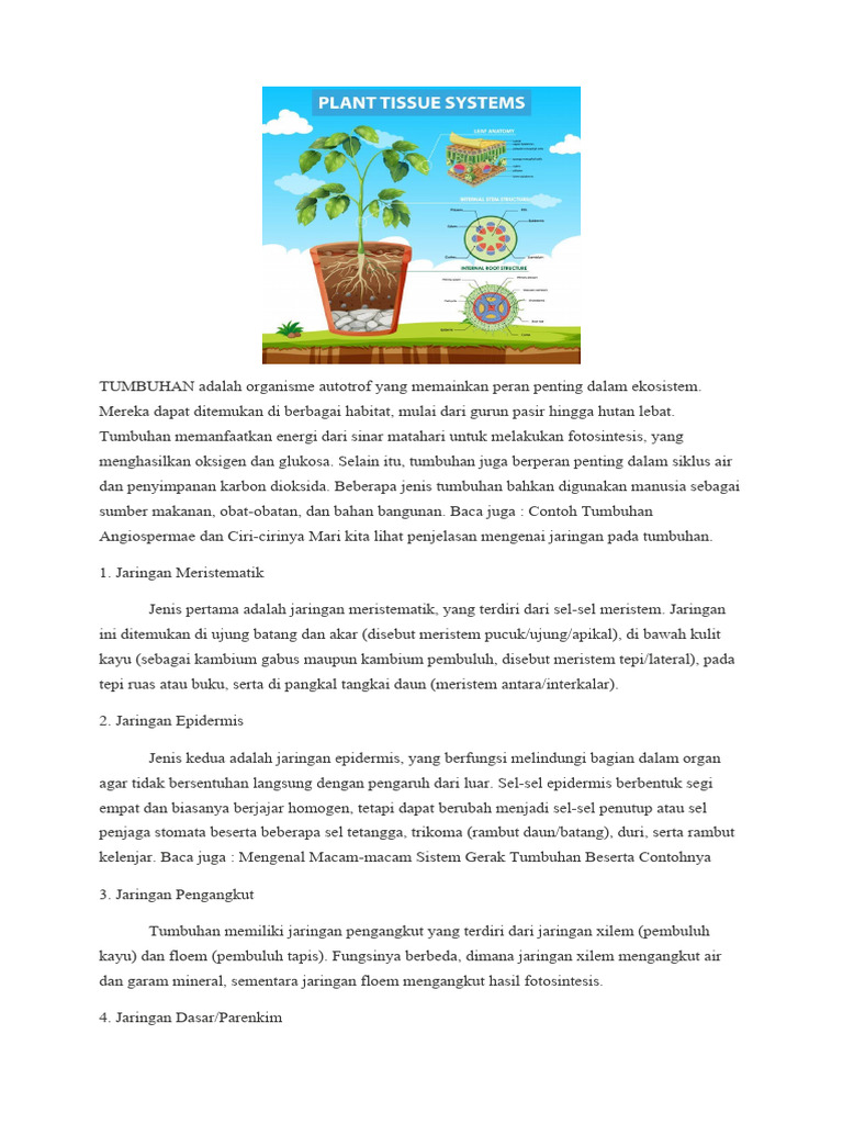 TUMBUHAN Adalah Organisme Autotrof Yang Memainkan Peran Penting Dalam ...