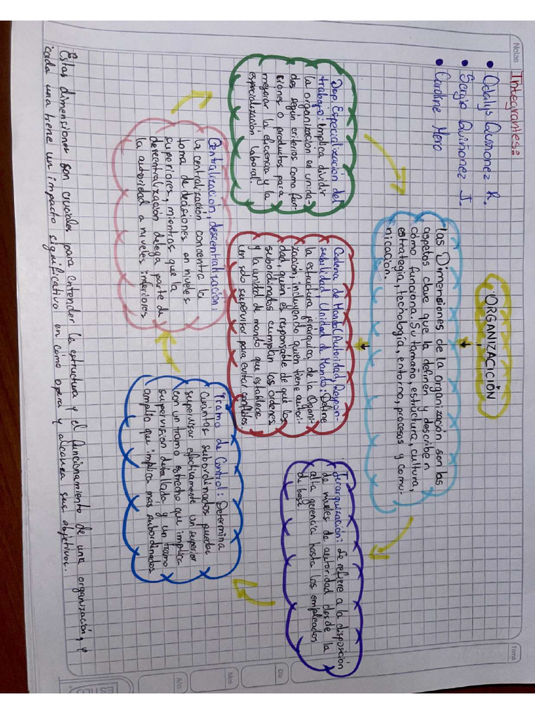 Mapa Concep de Organi | PDF