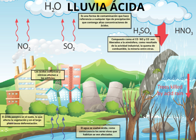 Causas y efectos de la lluvia ácida | PDF