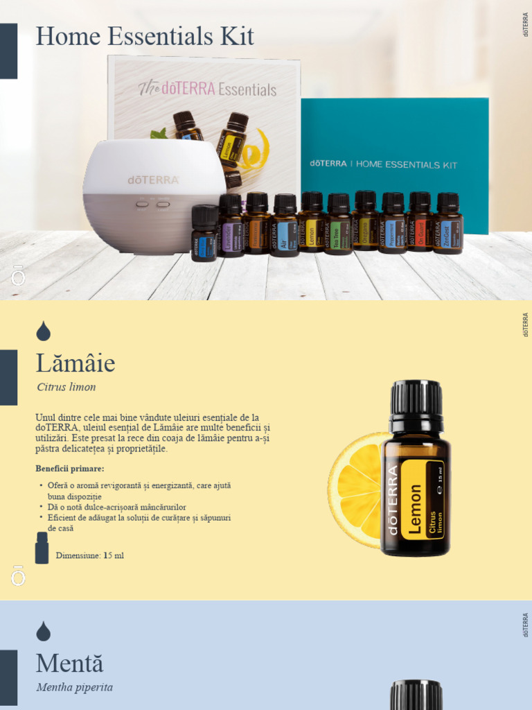 Prezentare Home Essentials Kit Bun | PDF