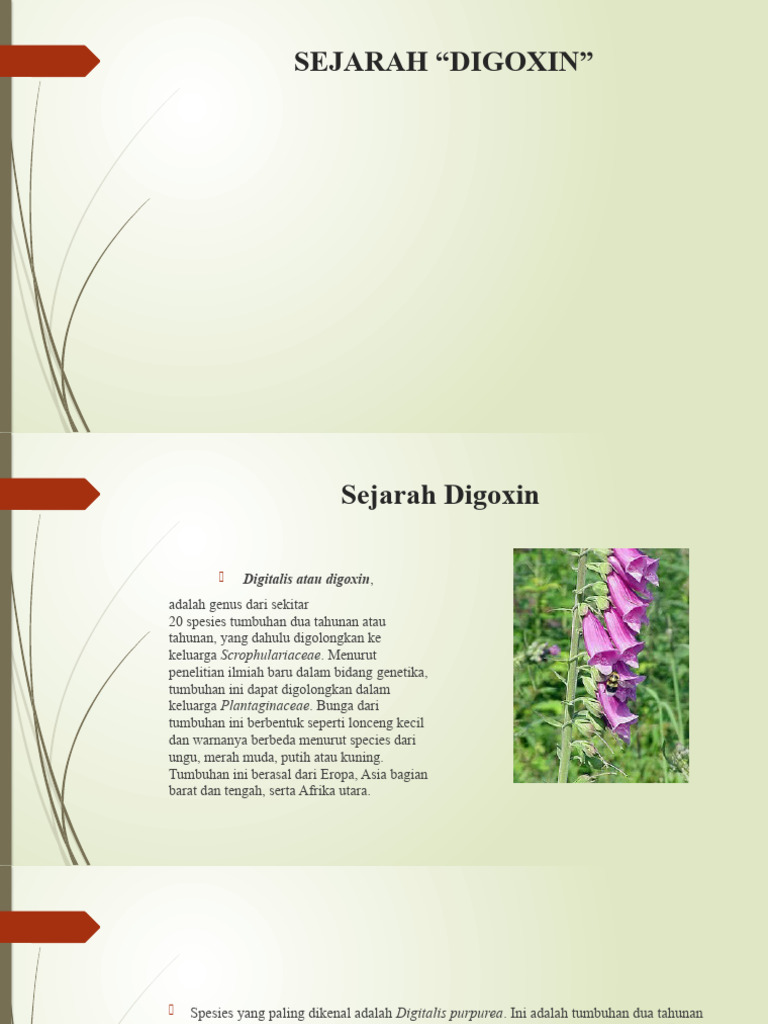 Sejarah Farmasi Digoxin | PDF