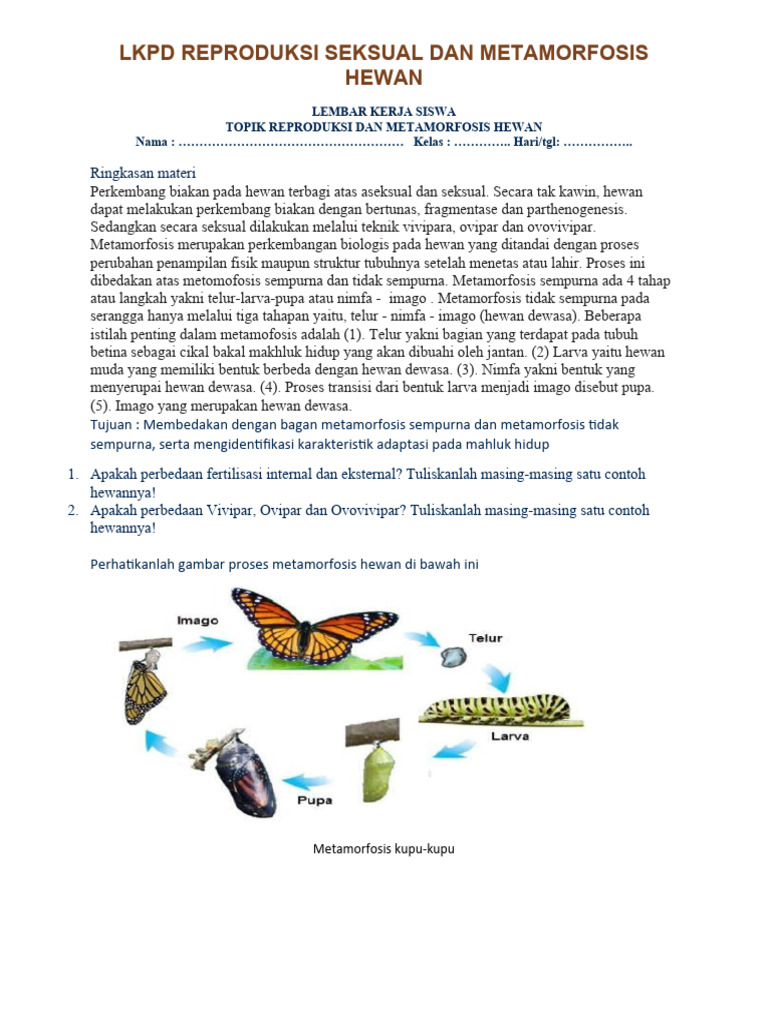 Lks Reproduksi Seksual Dan Metamorfosis Hewan | PDF