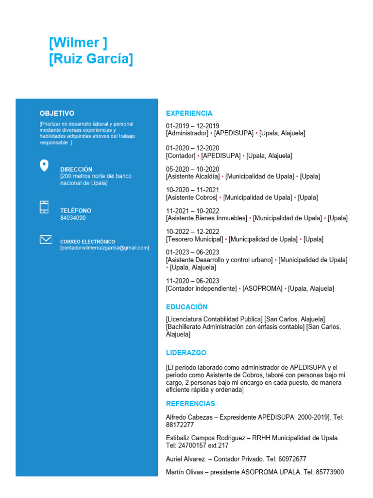 CV Wilmer | PDF | Business | Negocios económicos