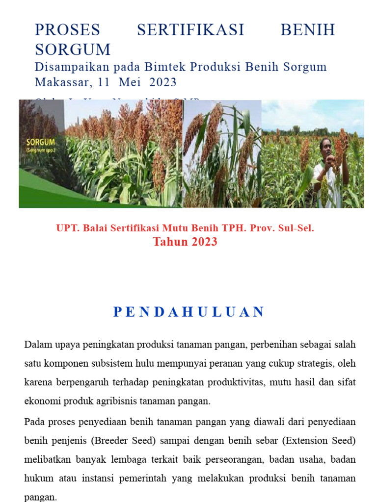 Sertifikasi Benih Sorgum | PDF