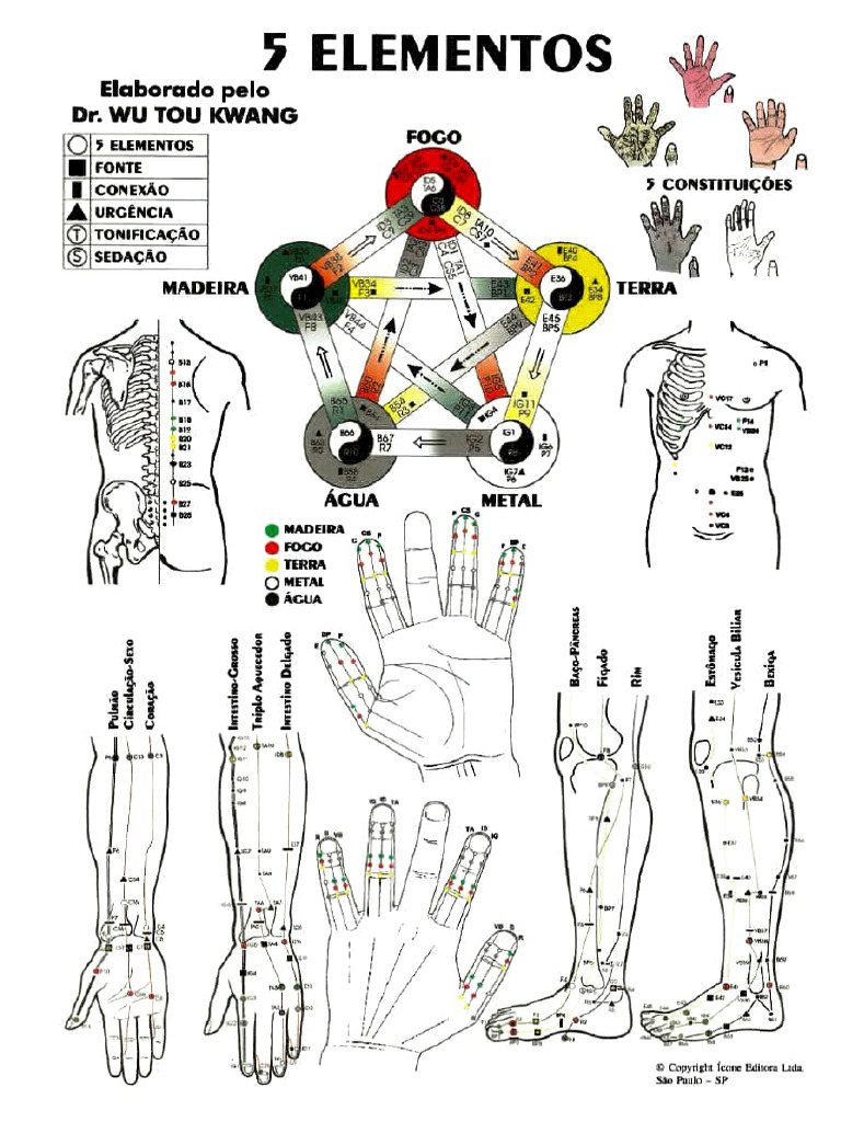 5 Elementos MTC | PDF | Órgão (anatomia) | Zoologia
