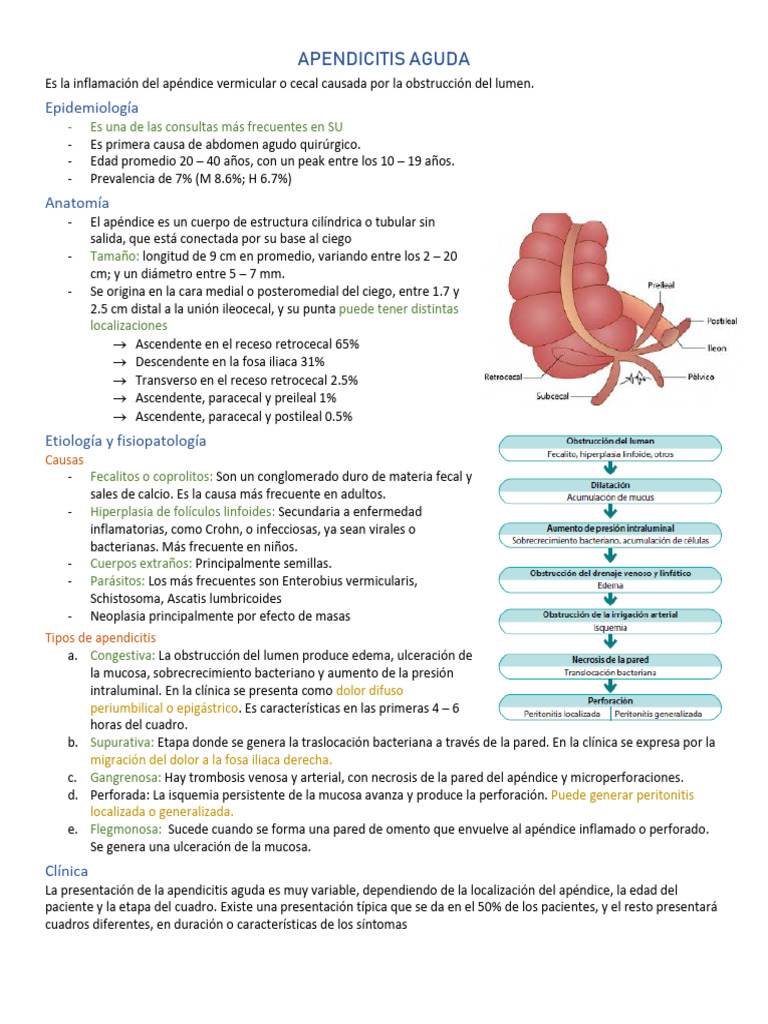 Apendicitis Aguda | PDF | Especialidades Medicas | Medicina CLINICA