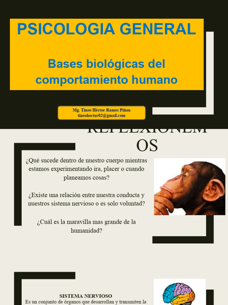 Bases Biologicas Del Comportamiento Humano | Descargar gratis PDF ...