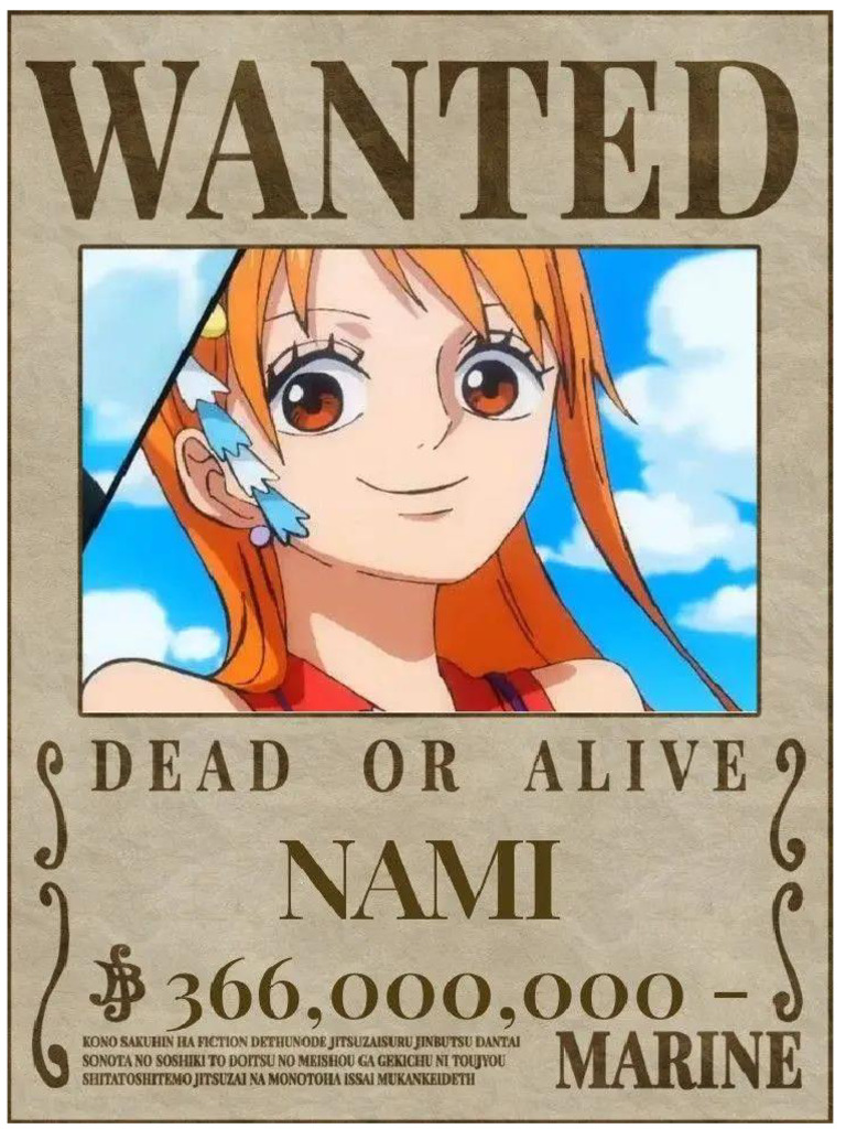 Nami's First Bounty Poster PDF | PDF