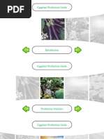 Buri Fiber - Nature and Uses | PDF | Textiles | Trees