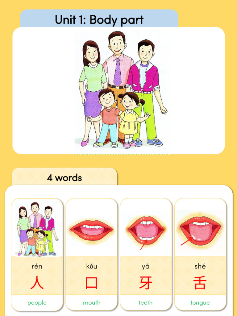 K2 Bodypart 8 | PDF | Language Arts & Discipline