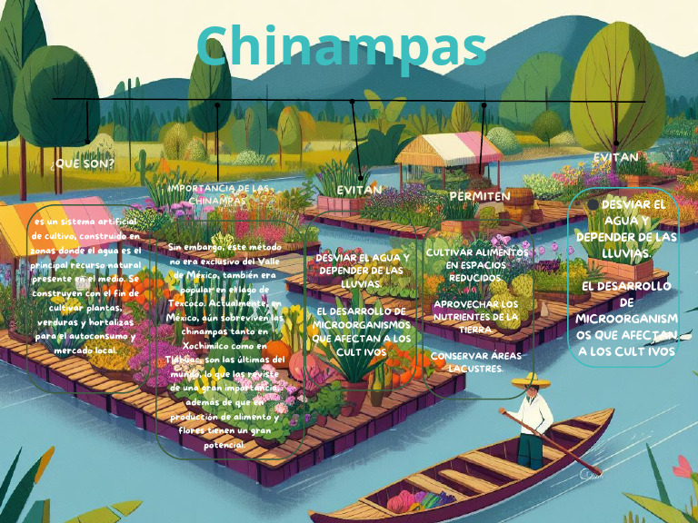 Importancia y características de las chinampas | PDF | Comida y bebida ...