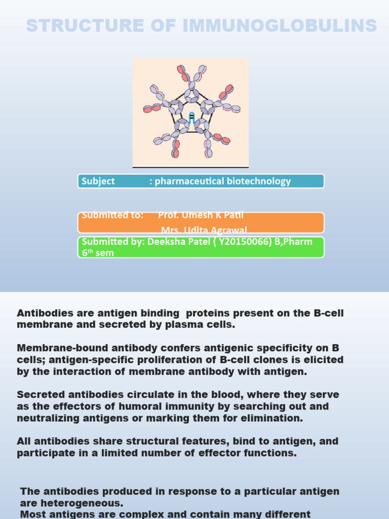 Y20150066 Structure of Immunoglobulins Deeksha Patel-1 | PDF | Antibody ... Y20150066 Structure of Immunoglobulins Deeksha Patel-1 | PDF | Antibody ...