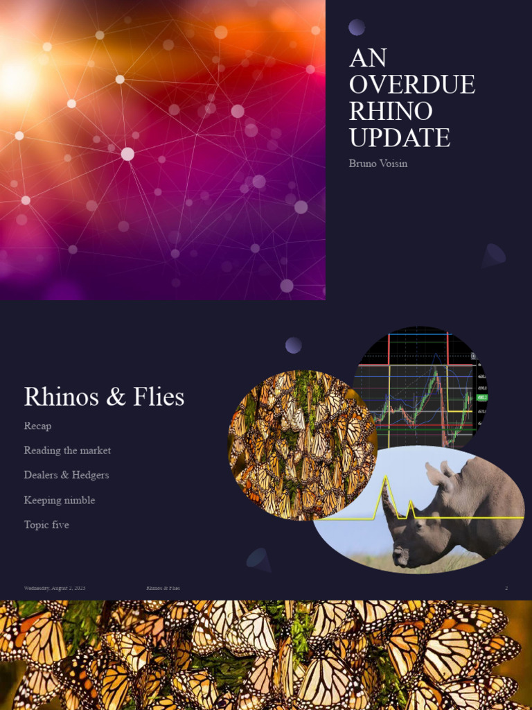 Adapting the Rhino Options Strategy | PDF | Greeks (Finance) | Hedge ...