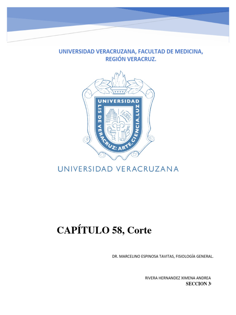 Cap 58 Capitulo 58 Corteza Cerebral Funciones Intelectuales Del Cerebro