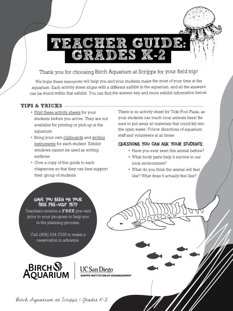 K-2 Teacher Guide - 0 | PDF | Sharks | Fish