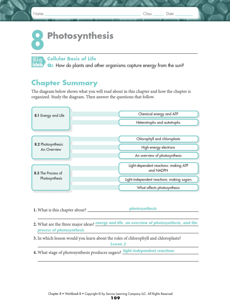 Photosynthesis Workbook | PDF | Photosynthesis | Chloroplast
