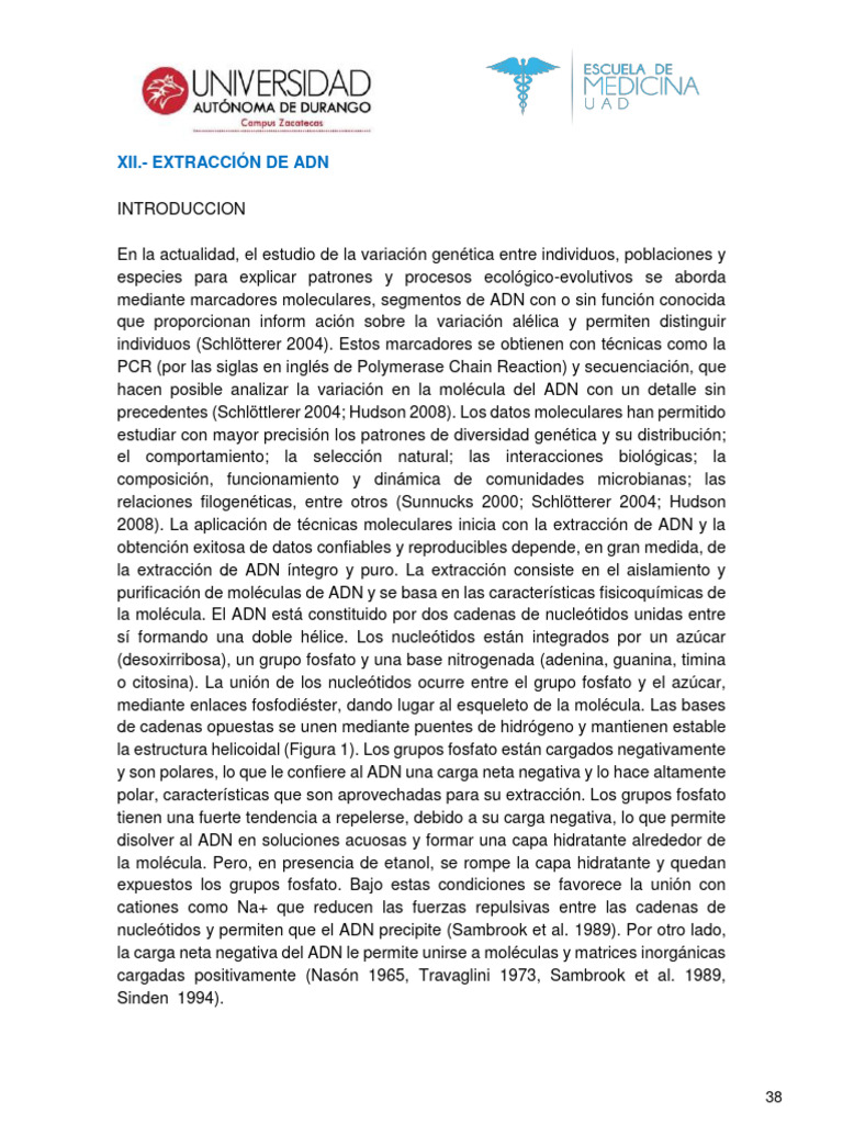 Tarea 9. Exracción ADN | PDF | Adn | Nucleótidos