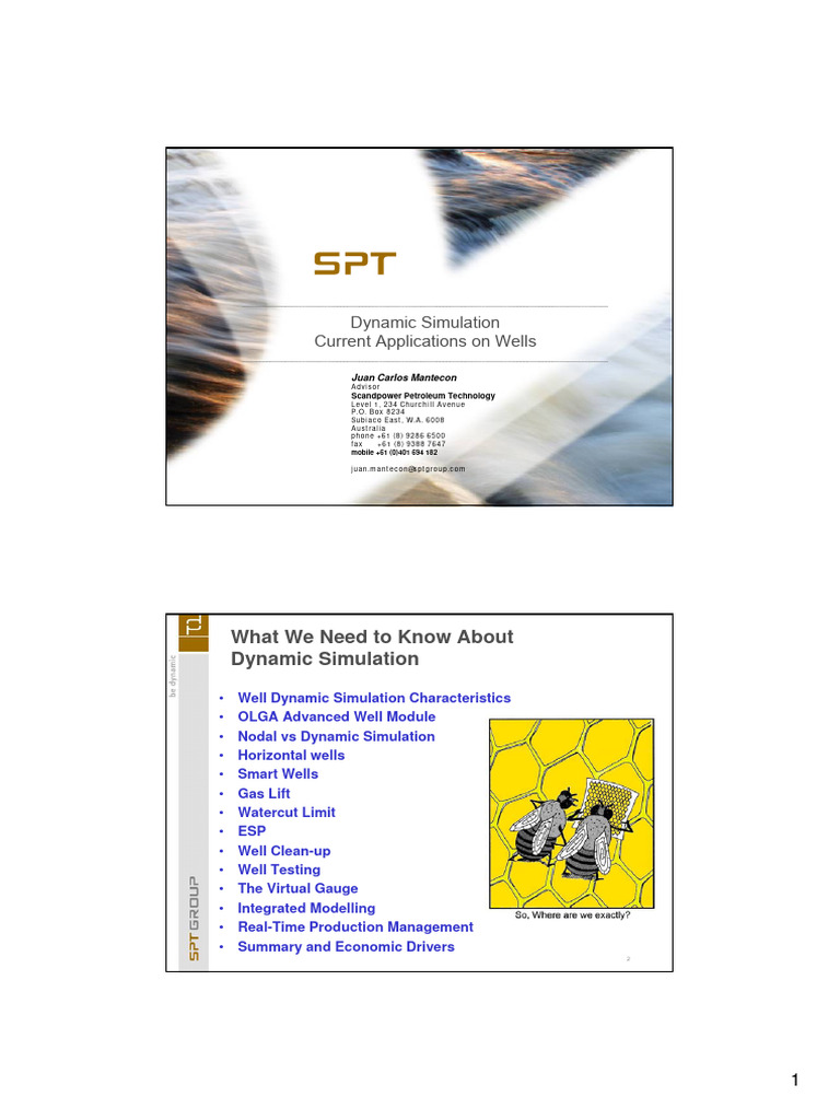 Dynamic Simulation in Well Management | PDF | Solubility | Fluid Dynamics