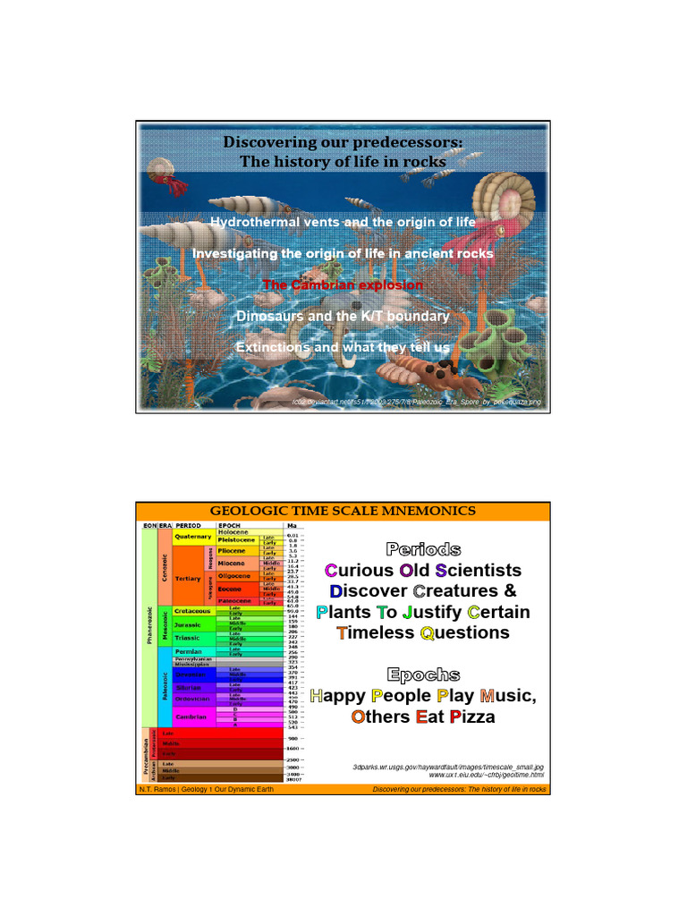 IIc The Cambrian Explosion | PDF | Fossil | Nature