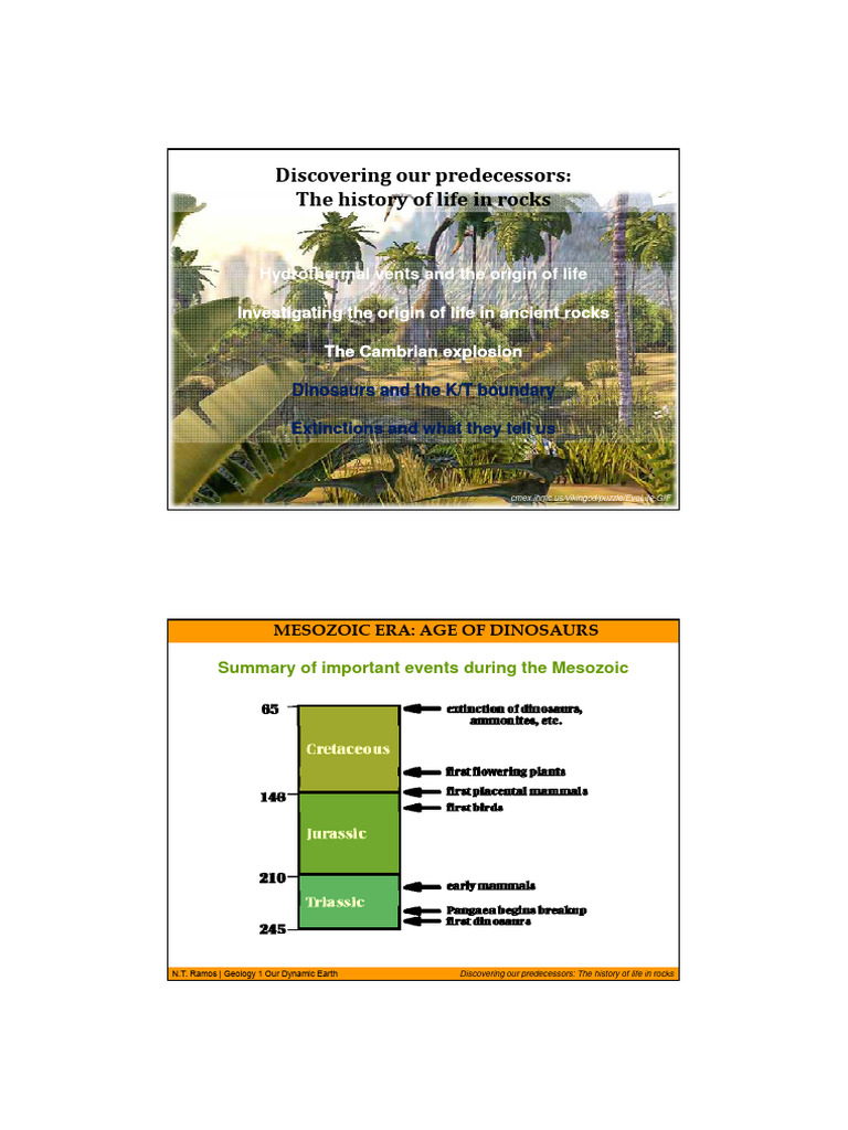 IId Dinosaurs and The K-T Boundary and IIe Extinctions | PDF ...