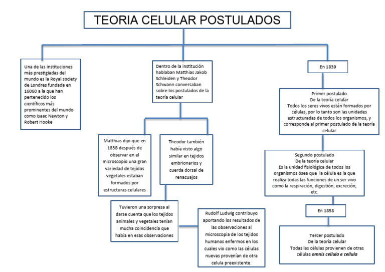 Postulados de la Teoría Celular | PDF | Biología Celular) | Anatomía