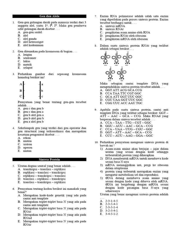 Latihan Soal Mandiri Sintesis Protein | PDF