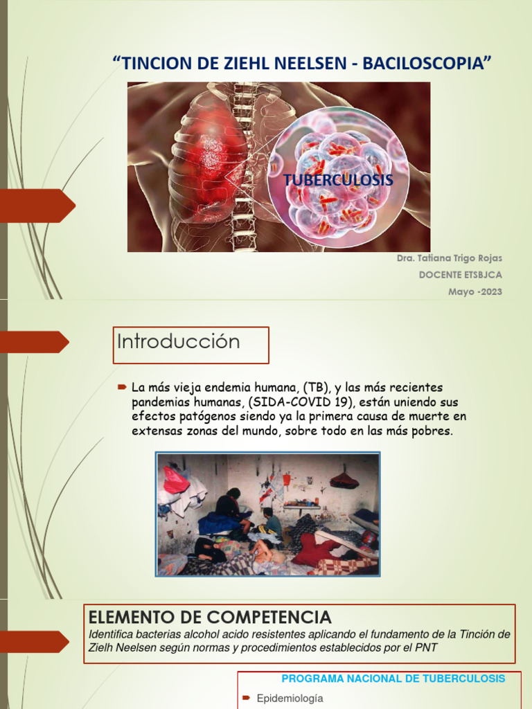 Tuberculosis | PDF | Tuberculosis | Mycobacterium