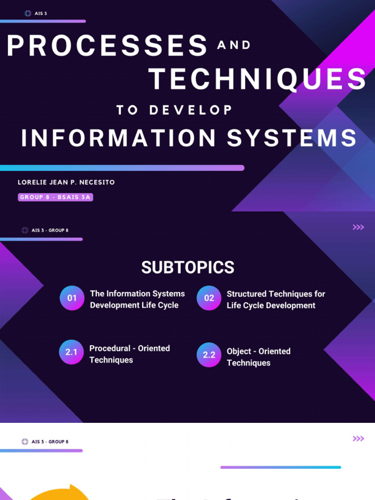 Processes-and-Techniques-to-Develop-Information-Systems_compressed | PDF