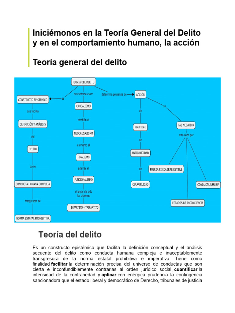 Teoria General Del Delito | PDF | Derecho penal | Ley común