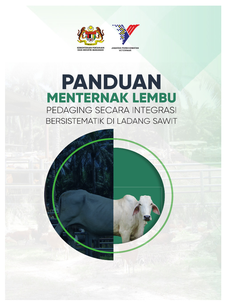 BSM - Mafi - Buku Panduan Menternak Lembu Pedaging Secara Integrasi ...