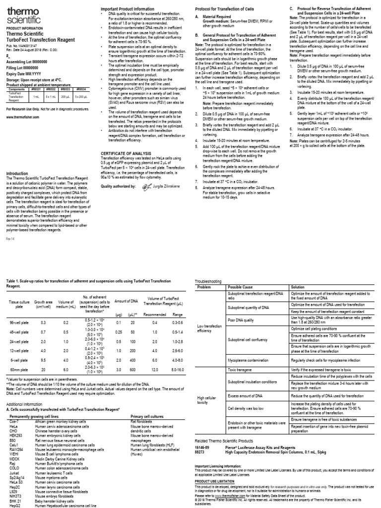 TurboFect Transfection Reagent Guide | PDF | Transfection | Cell Culture