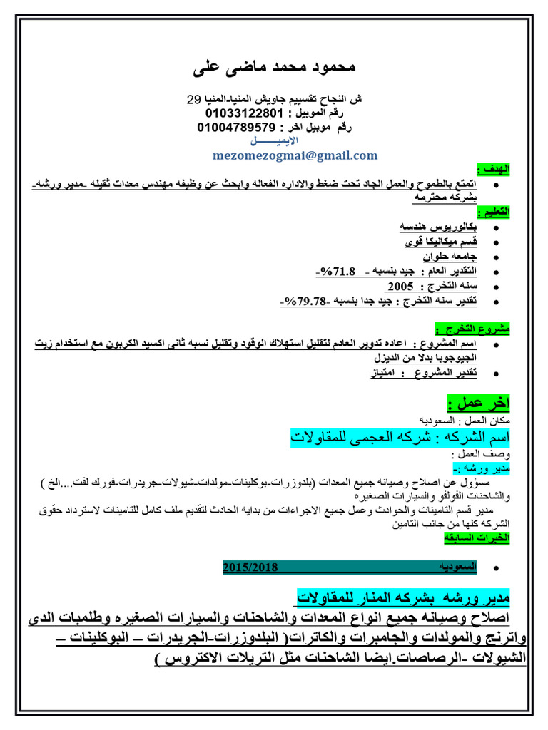 My CV 2020arabic Mini | PDF
