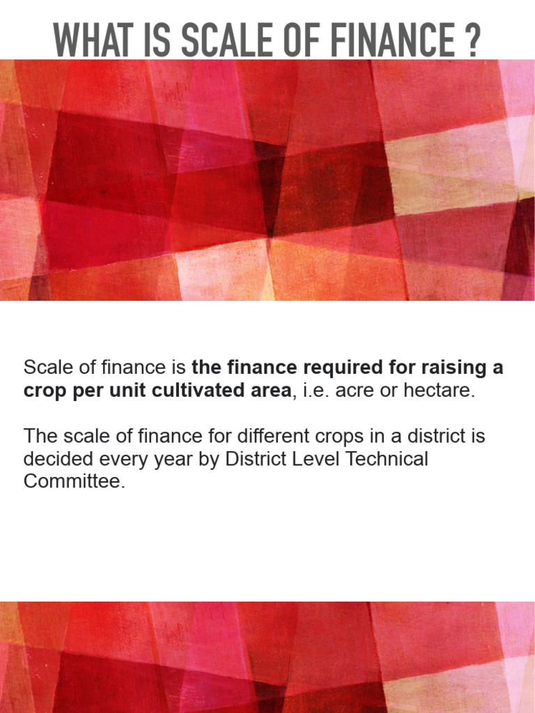 Scale of Finance Q | PDF | Agriculture | Economies