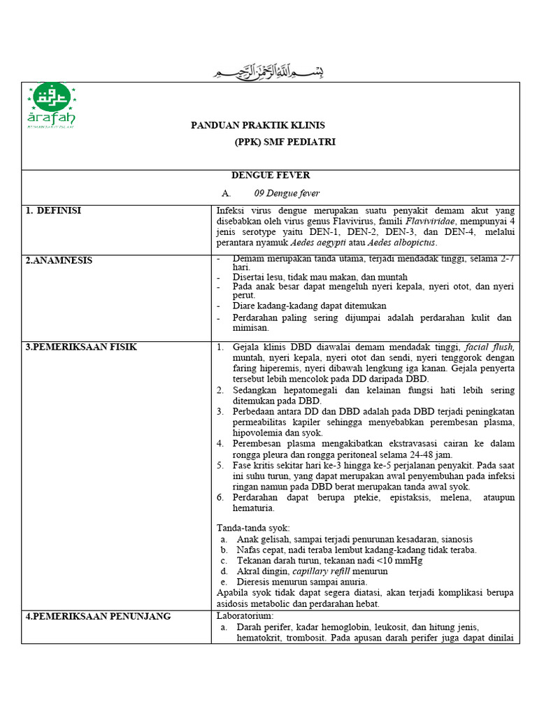 PPK Dengue Fever Fix | PDF